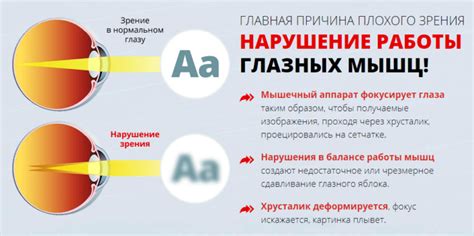 Лекарство Оптитрин для глаз отзывы цена где купить