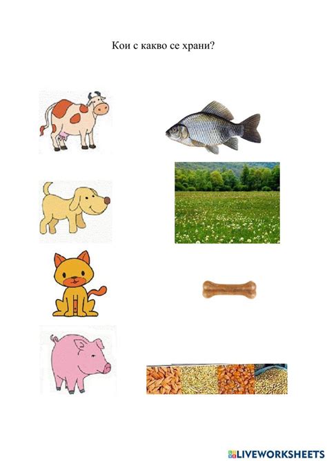 Кой с какво се храни Exercise Live Worksheets