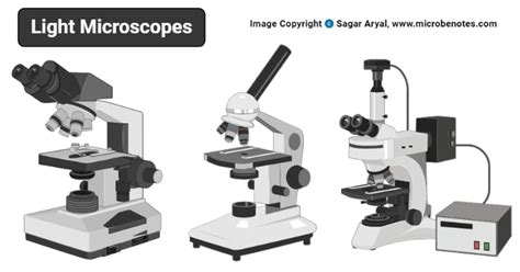 Light Microscope Principle Types Parts Diagram