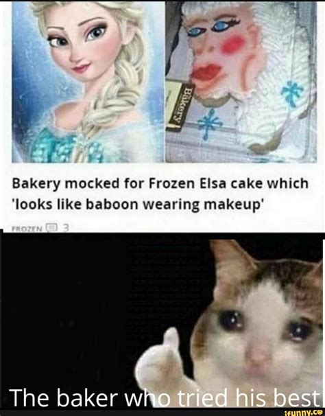 Elsa Cake Memes