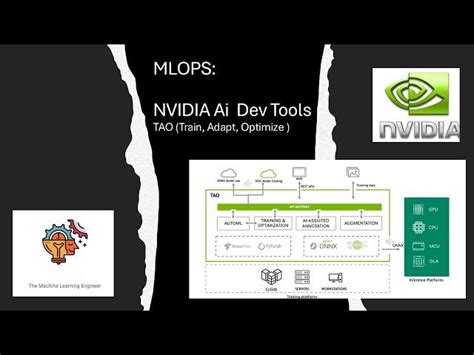 Free Video Nvidia Tao Toolkit Training Adapting And Optimizing Ai