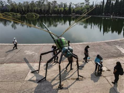 2022年复活节：墨西哥城有三个美丽的公园在哪里享受 Infobae