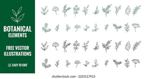 2 203 Baby Tree Logo Concept Images Stock Photos Vectors Shutterstock