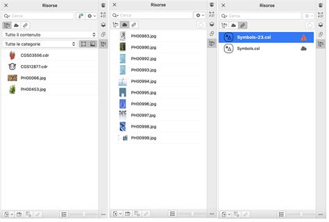 Coreldraw Guida Coreldraw Graphics Suite 2021 5