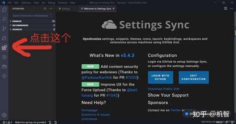 如何设置vscode语言为中文，并且解决中文注释乱码。 知乎