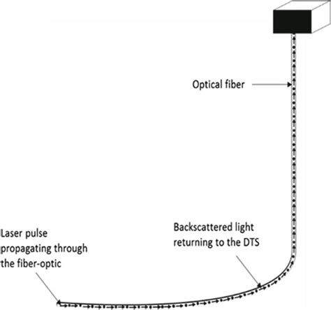 12 Graphical Schematic Of Dts System Download Scientific Diagram