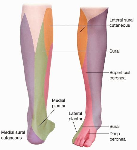 Popliteal Block