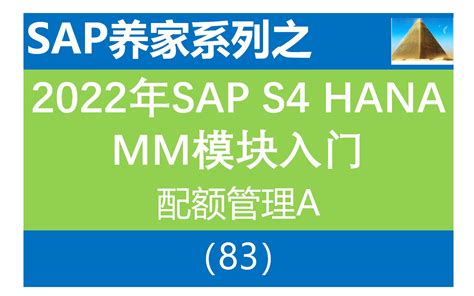 2022年s4 Hana Mm 83配额01 Sap S4 Hana Mm Sap S4 Hana Fico Sap S4 Hana Abap Sap养家 Sap养家 哔哩哔哩视频