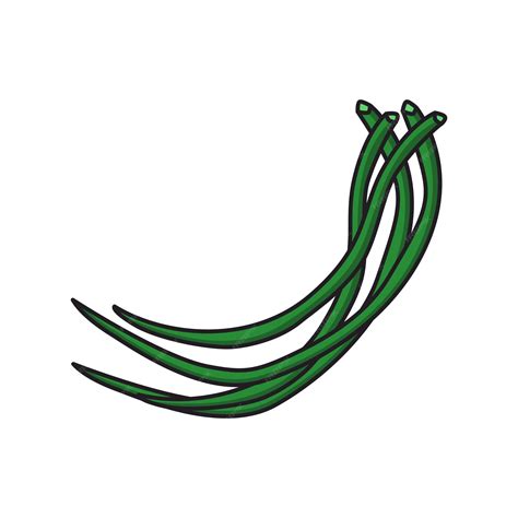 Premium Vector String Beans Illustration