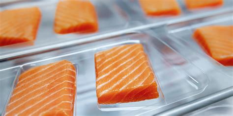 Condensador Evaporativo Para La Industria Alimentaria