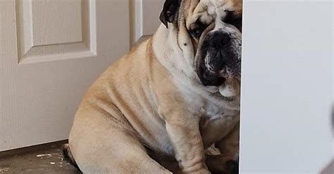 Builders Apprentice Album On Imgur