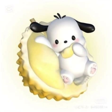 귀여운포차코♡ Youtube