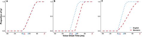 Schematic Of Three Possible Models Of Phoneme Perception By Bilinguals Download Scientific