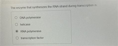 Solved The Enzyme That Synthesizes The Rna Strand During