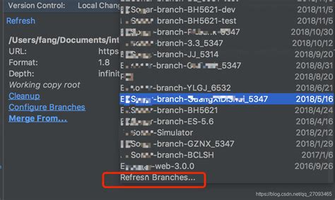 Intellij Idea 详细图解 Svn Merge 分支合并主干，主干合并分支，都是merge一个套路 Csdn博客