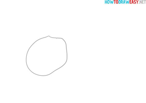 How To Draw A Coconut How To Draw Easy