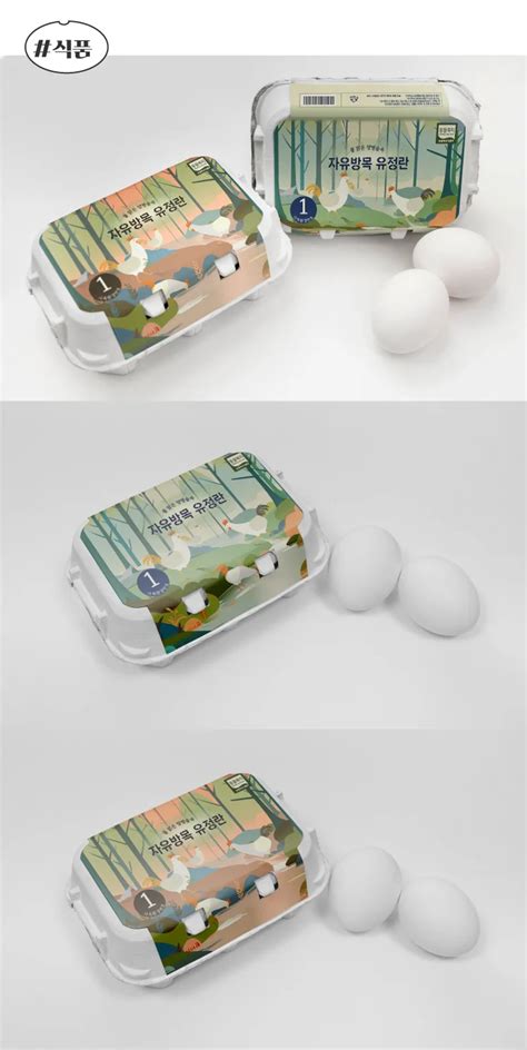 계란패키지 패키지 포트폴리오 크몽