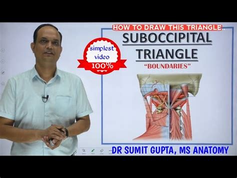 Suboccipital Triangle Boundaries