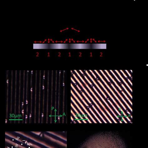 A Uv Interference Illumination Setup Cw Continuous Wave Hwp Download Scientific Diagram