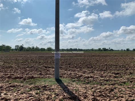 ដីលក់ បន្ទាន់ នៅ ខេត្ត ស្វាយរៀង ស្រុក ស្វាយ រៀង ឃុំ ស្វាយ តឿ ភូមិ ឃោសាង Price 700000 00 In Svay