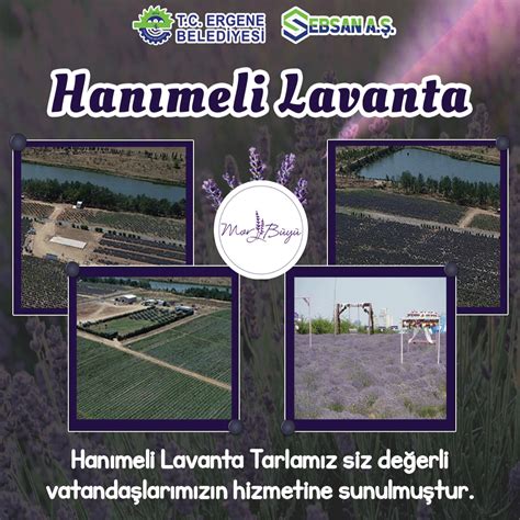 Tmo TekİrdaĞ BaŞmÜdÜrlÜĞÜ 2025 Hububat Alim DÖnemİne Hazir