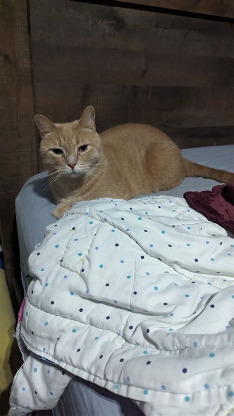 Musings From Mars On Tumblr