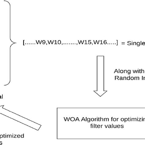 Optimization Process Flow In The Feature Extraction Layer Download Scientific Diagram