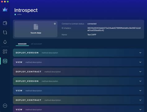 Introspect Dapp Issue 15 BeamMW Beam Dapps GitHub