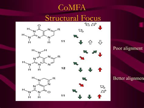 Ppt Molecular Modeling Conformational Molecular Field Analysis
