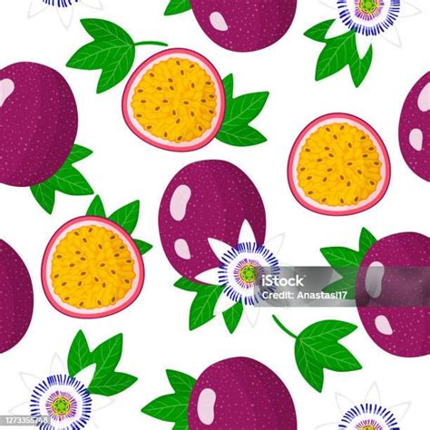 파시플로라 또는 패션 과일 이국적인 과일 꽃과 흰색 배경에 잎 벡터 만화 원활한 패턴 건강한 식생활에 대한 스톡 벡터 아트 및 기타 이미지 건강한 식생활 과일 꽃