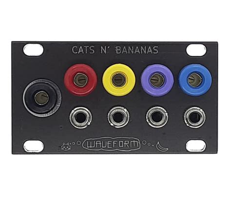 Waveform Magazine 1u Assembled Cats N Bananas Reverb