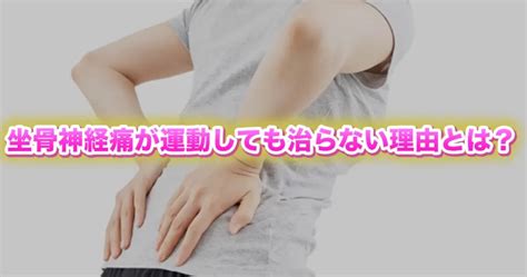 坐骨神経痛はどこが痛いか分からない方必見！セルフチェック方法 逗子市の桜山鍼灸整体整骨院