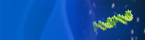 How To Analyze And Separate Oligonucleotides And Active Metabolites Using Lc Ms Ms Wuxi Apptec