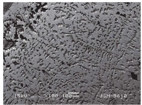 Microstructure Showing The Dendrite Pattern Image By The