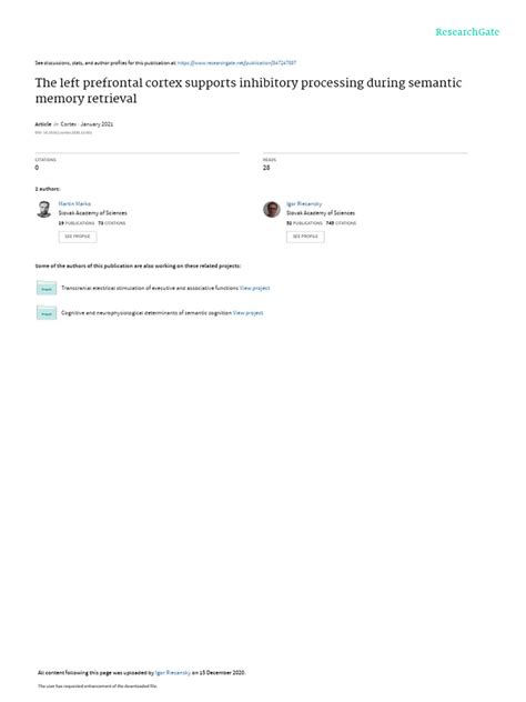 The Left Prefrontal Cortex Download Free Pdf Prefrontal Cortex Working Memory