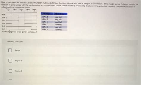 Solved Mice Homozygous For A Recessive Loss Of Function