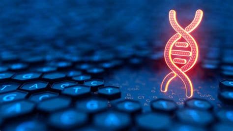 Enhancing Target Capture Techniques In Long Read Sequencing Technology Networks