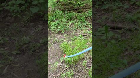 Using Regular Expression Search In Notepad