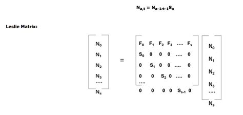 Solved Create A 8x8 Matrix Using Leslie Matrix For