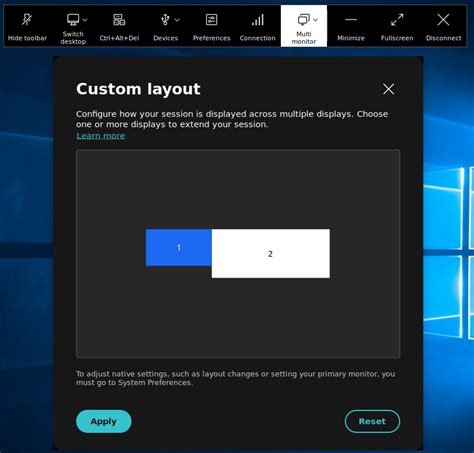 Graphics And Display Citrix Workspace App For Linux