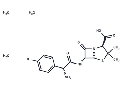 Amoxicillin Trihydrate Cas 61336 70 7 Targetmol