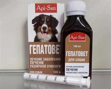 Гепатовет для собак: инструкция по применению, цена, отзывы