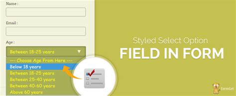 How To Implement CSS Design In Select Option FormGet