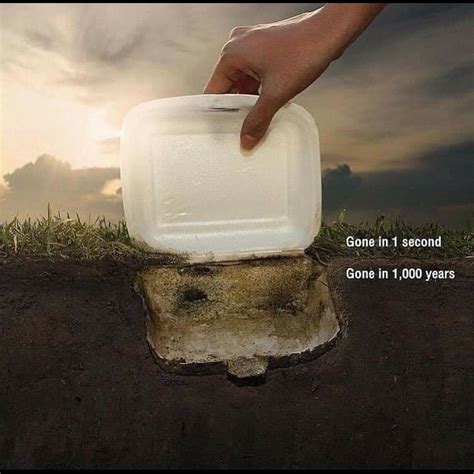 Myanmar Truth News ကြောင်လည်ကျေးရွာ ရှမ်းနီဦးဇင်းတစ်ပါးနှင့် ဒေသခံ ၃ ဦးကို Pdf တွေဖမ်းဆီးခေ