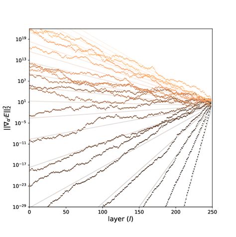 exponential evolution of the propagation of the l2 norm of the gradient