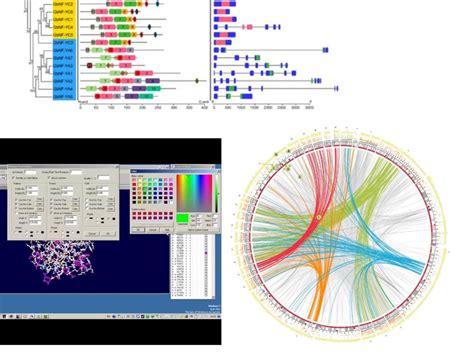 Your Bioinformatics Data Analysis And Visualization Done Professionally