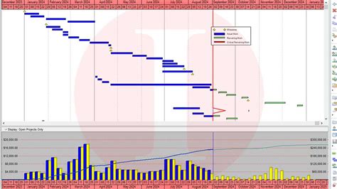 Primavera P6 Basic Training Akim Engineering