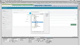 Assigning Dynamic Values To Form Fields Videos DMXzone COM