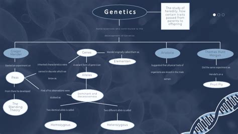 Final Concept Map Pdf Heredity Dominance Genetics