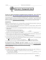Prelab Phylogenetic Trees Pdf Name Others Who Participated Pre Lab Phylogenetic Trees